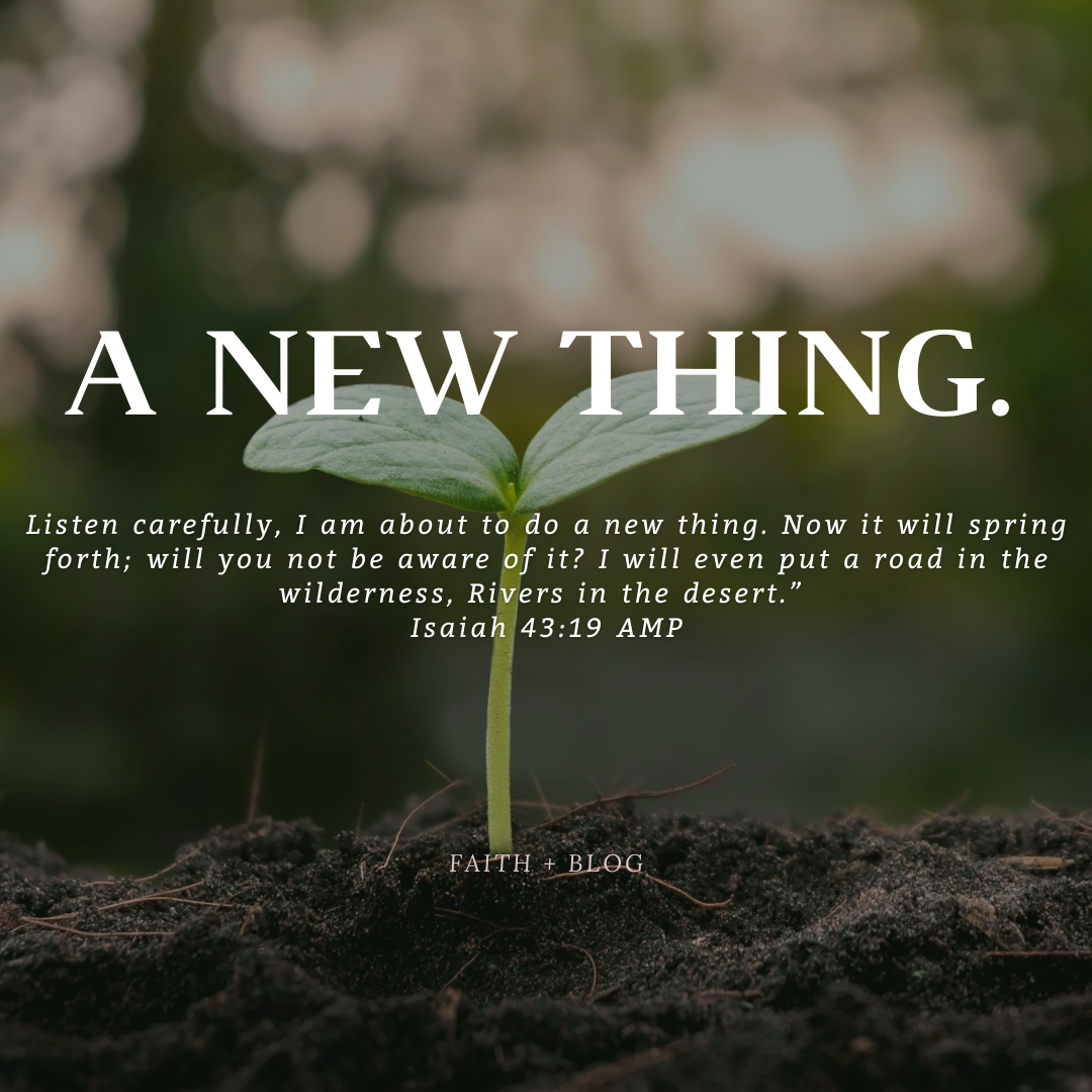 A NEW THING. – Faith+blog