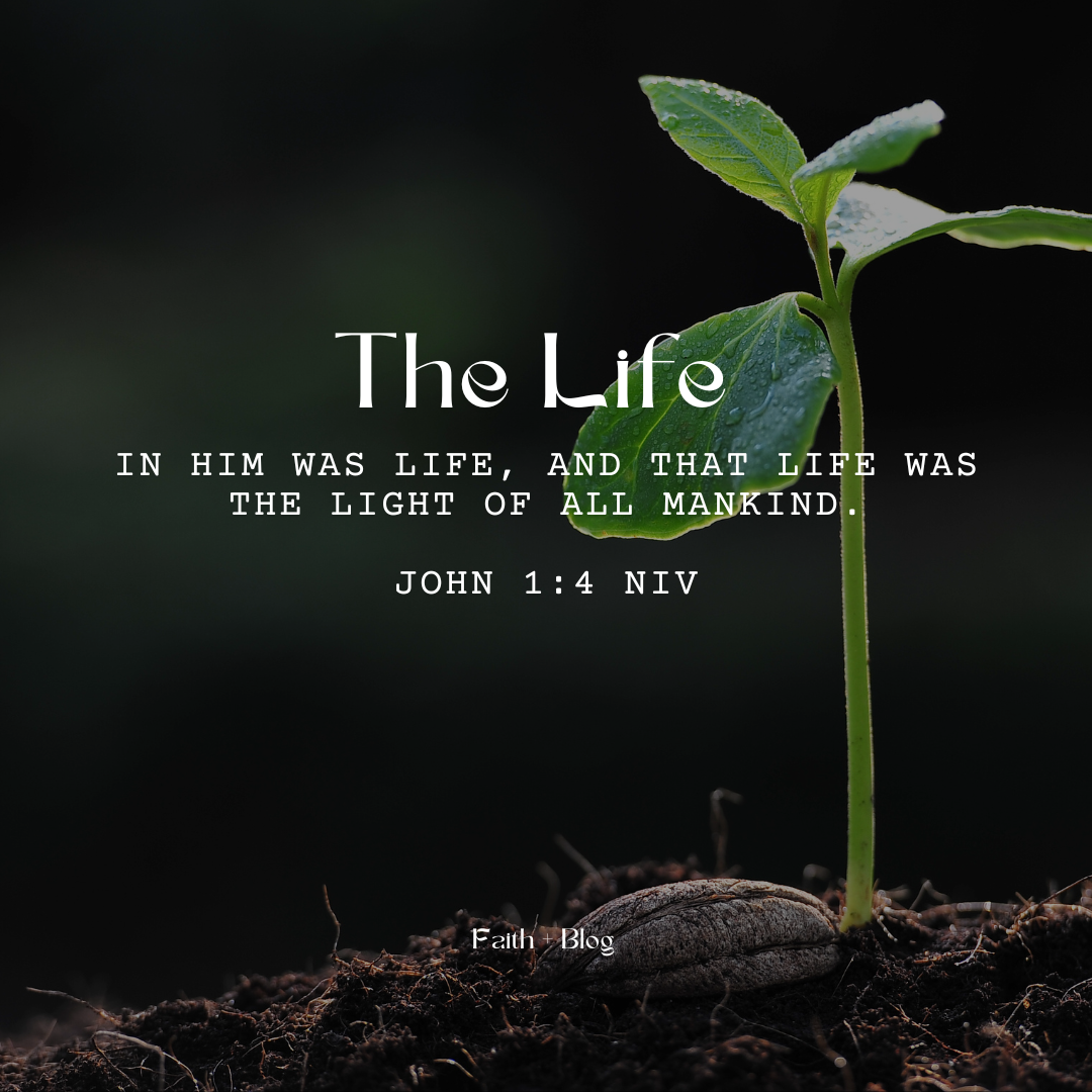 The Life – Faith+blog